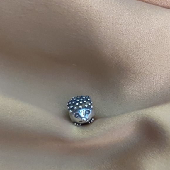 Pandora | Jewelry | Pandora Charm | Poshmark